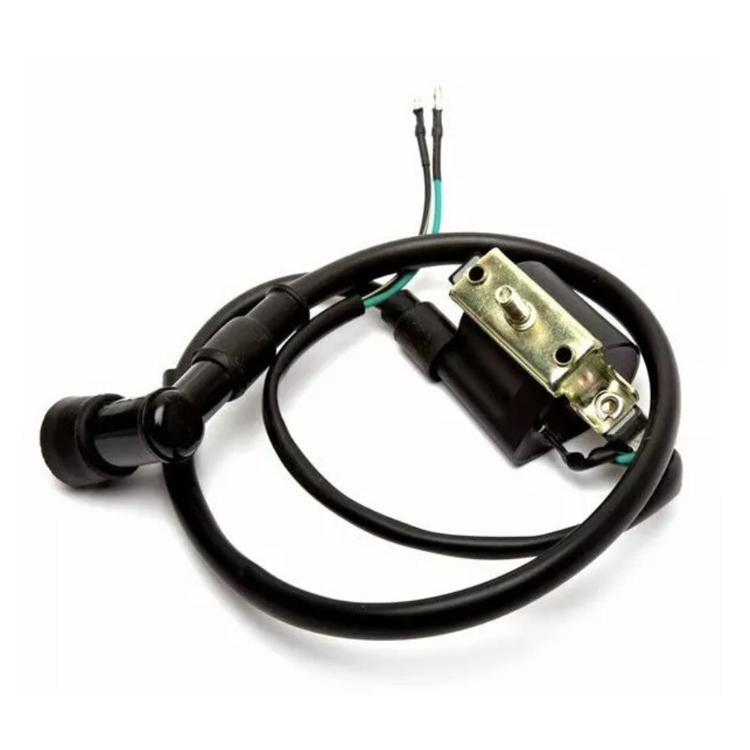 Ignition Coil Kit for 90cc 110cc 125cc 140cc 150cc Atv Quads Bike ...